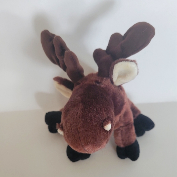 GANZ | Toys | Ganz Webkinz Moose Stuffed Animal Plush | Poshmark